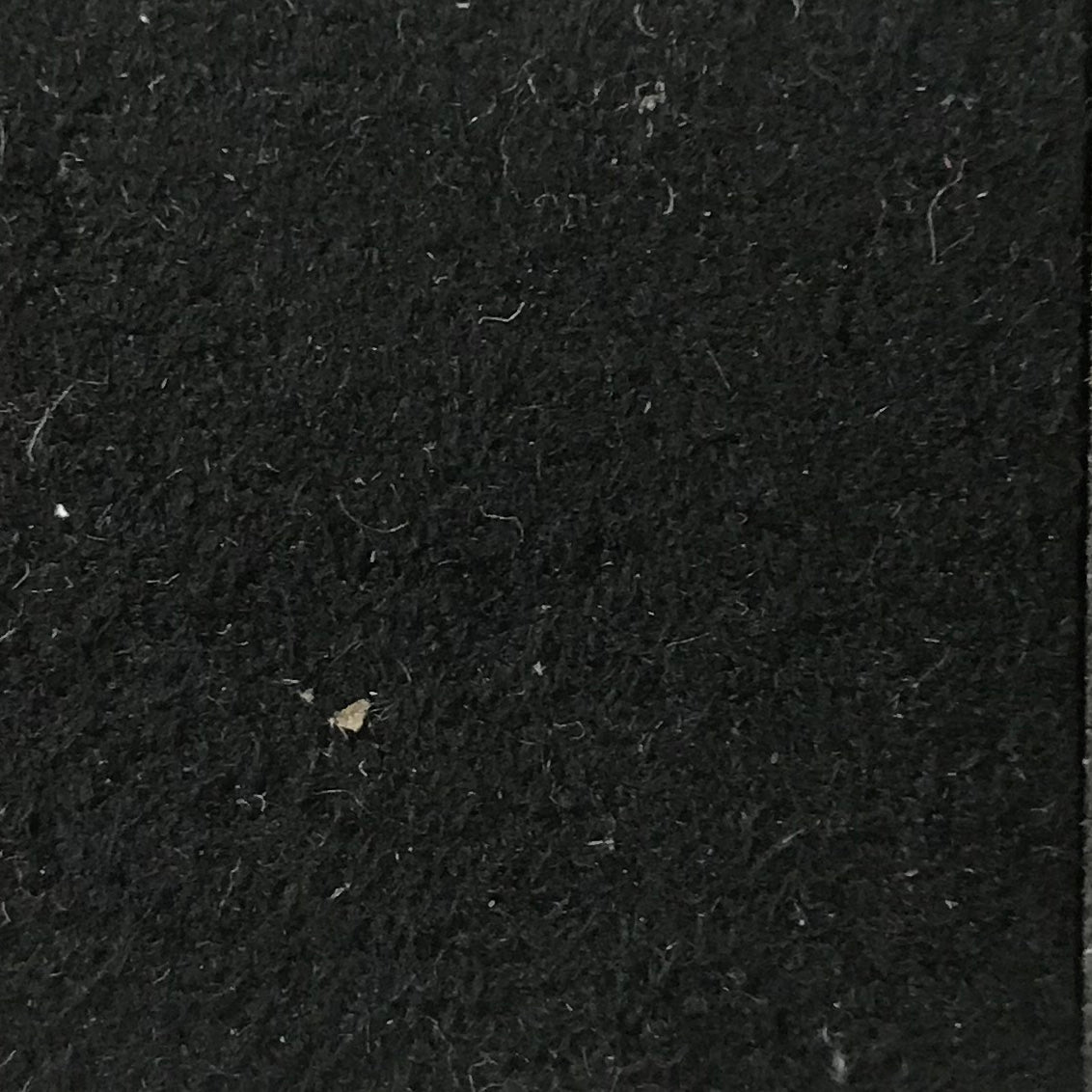 60” Synergy II Suede Headliner – BayTrim Upholstery Supply